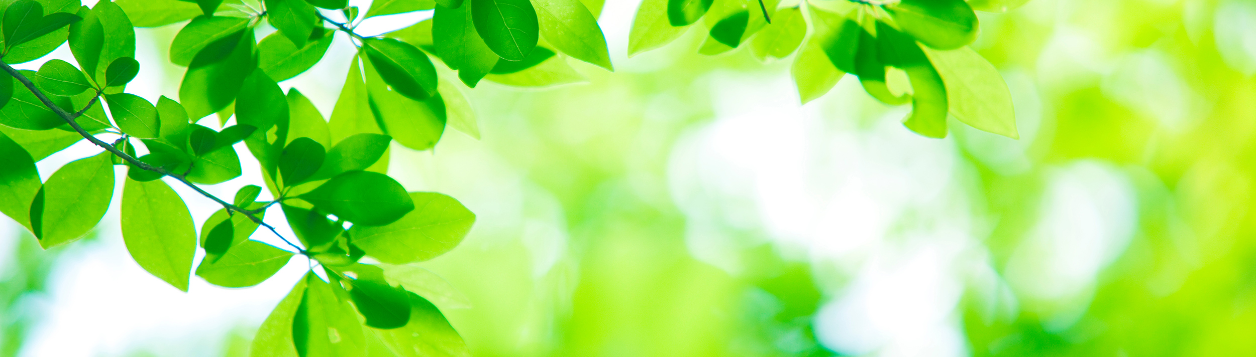 アクセス - エヌエス仙台有限会社